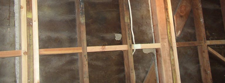 An Occupational Therapist’s Guide to Rails | Moddy